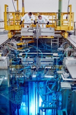 Molten salt reactor experiment begins at Petten - World Nuclear News